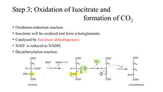 Tricarboxylic cycle biochemistry subject | PPTX