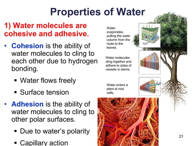 Lecture 3 Basic chemistry | PPT