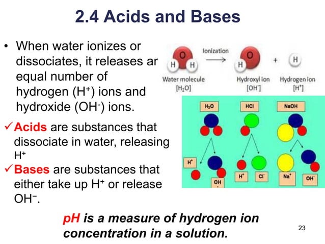 Lecture 3 Basic chemistry | PPT