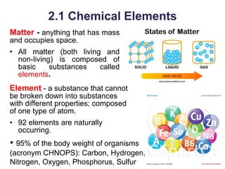 Lecture 3 Basic chemistry | PPT