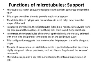 lecture 3 b Cytoplasm and inclusion.pdf