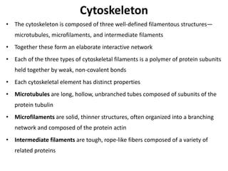 lecture 3 b Cytoplasm and inclusion.pdf