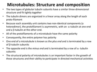 lecture 3 b Cytoplasm and inclusion.pdf
