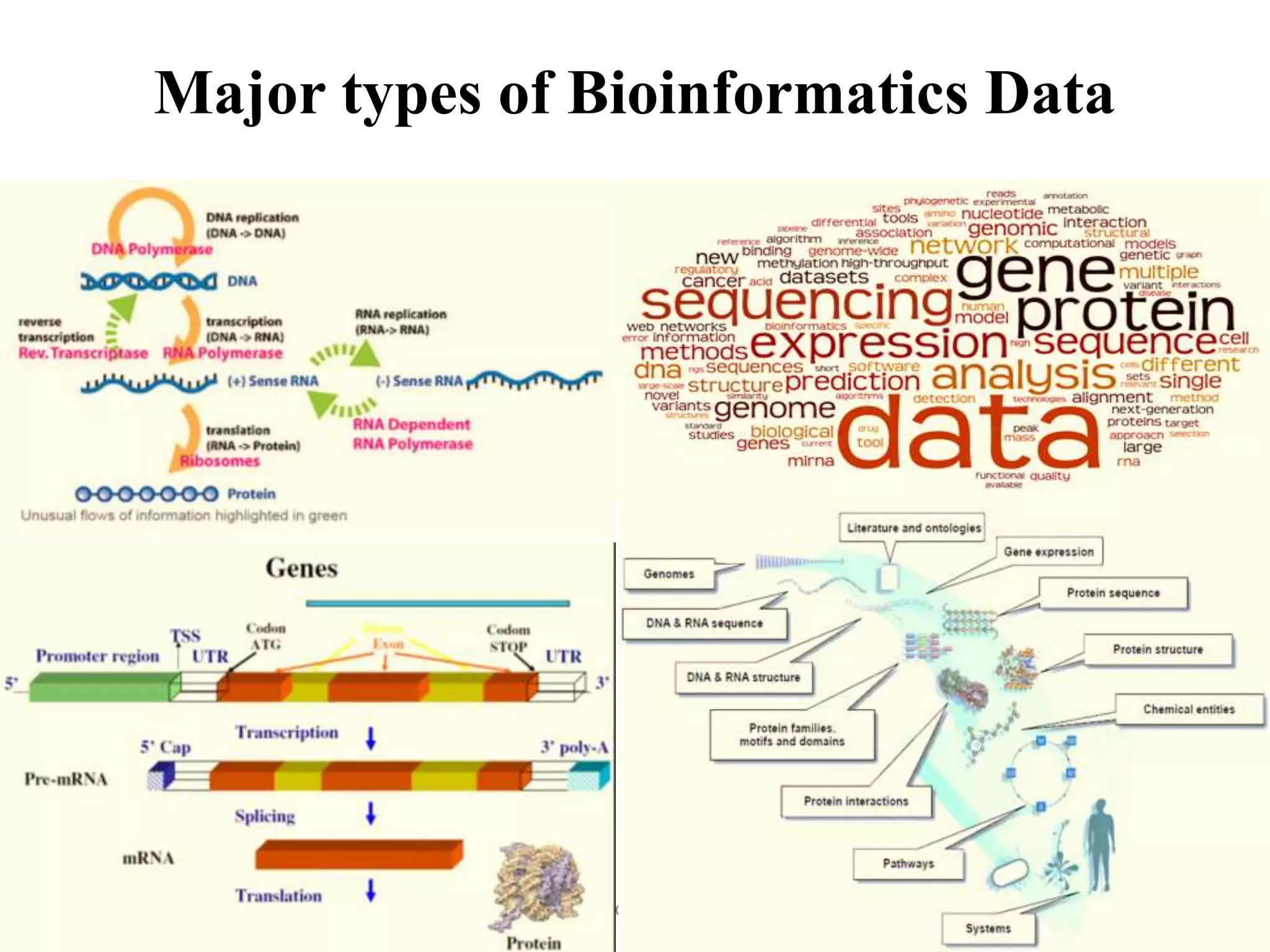 Lecture3BiologicaldataforBioinformatics.pptx | Biological Sciences | Science