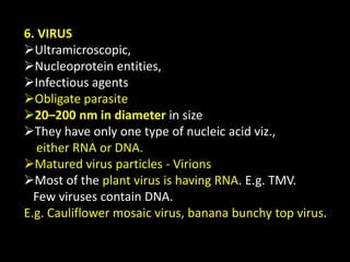 Lecture 3 Causes of Plant Diseases.pptx