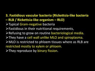 Lecture 3 Causes of Plant Diseases.pptx