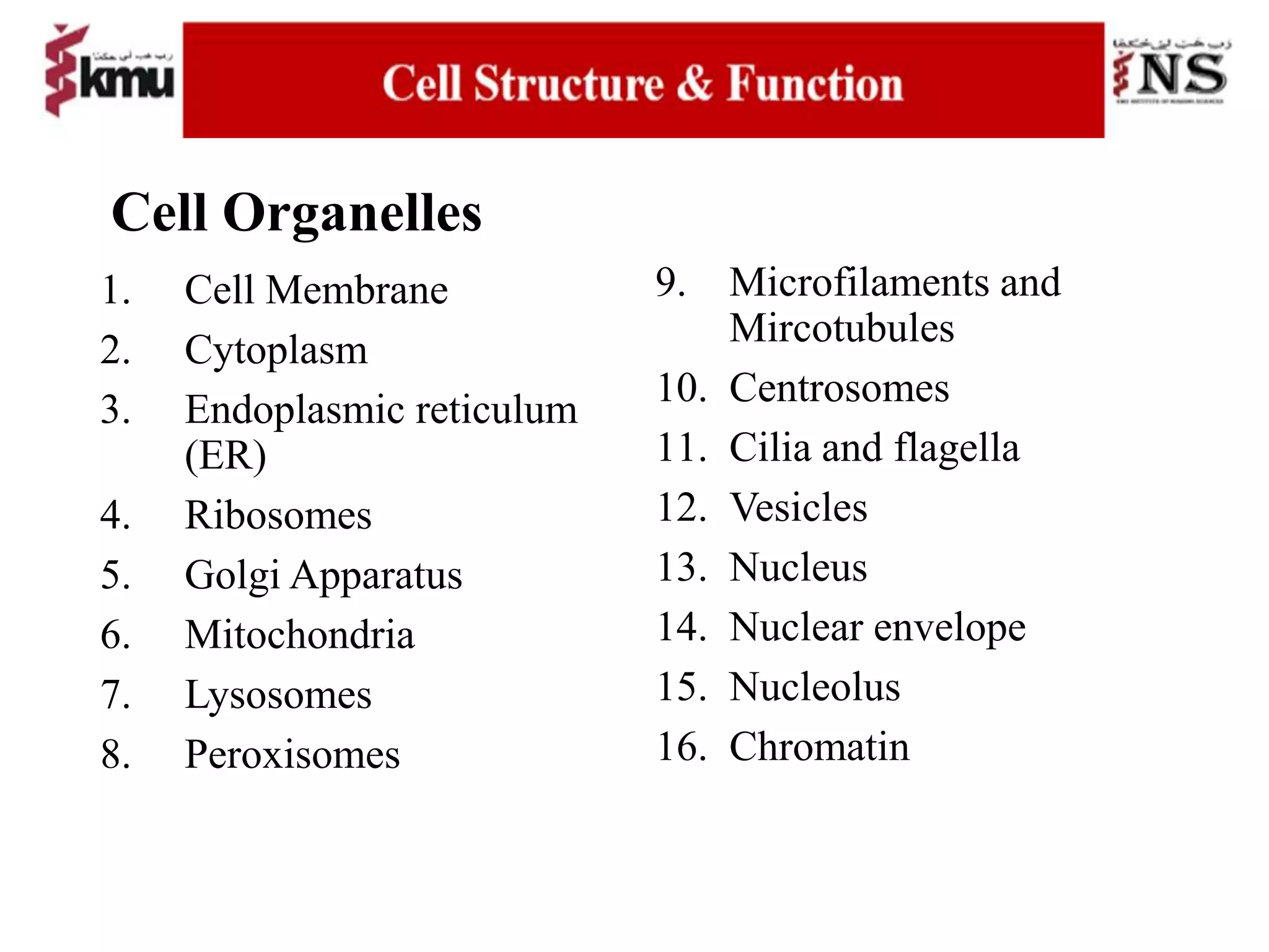 Lecture 3 Cellstructurefunctionppt