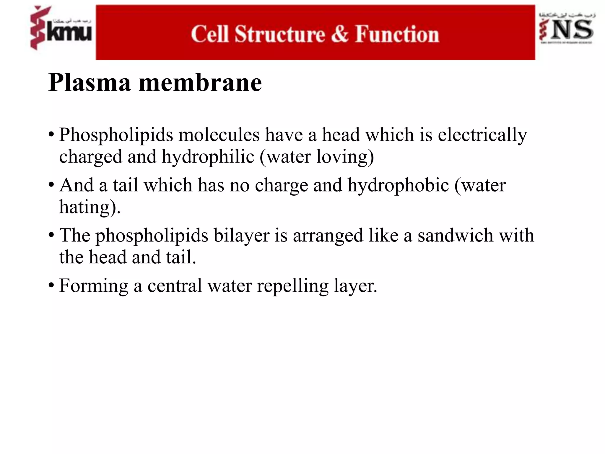 Lecture 3 Cell_structure_function.ppt
