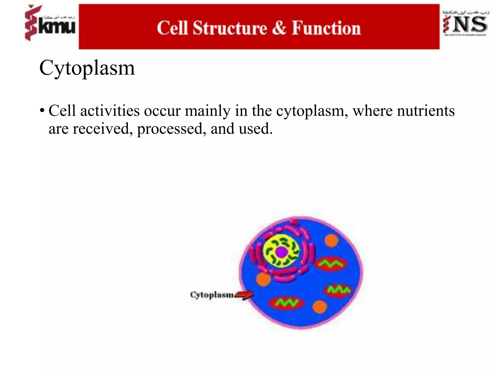 Lecture 3 Cell_structure_function.ppt