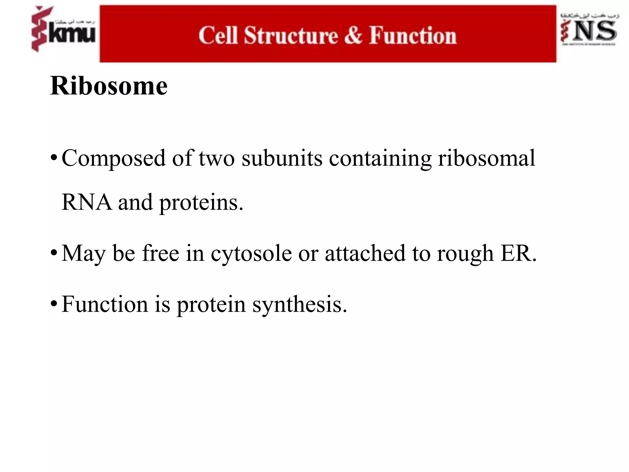 Lecture 3 Cell_structure_function.ppt
