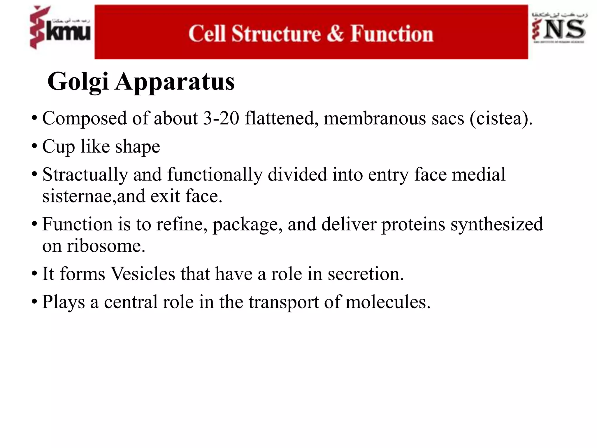 Lecture 3 Cell_structure_function.ppt
