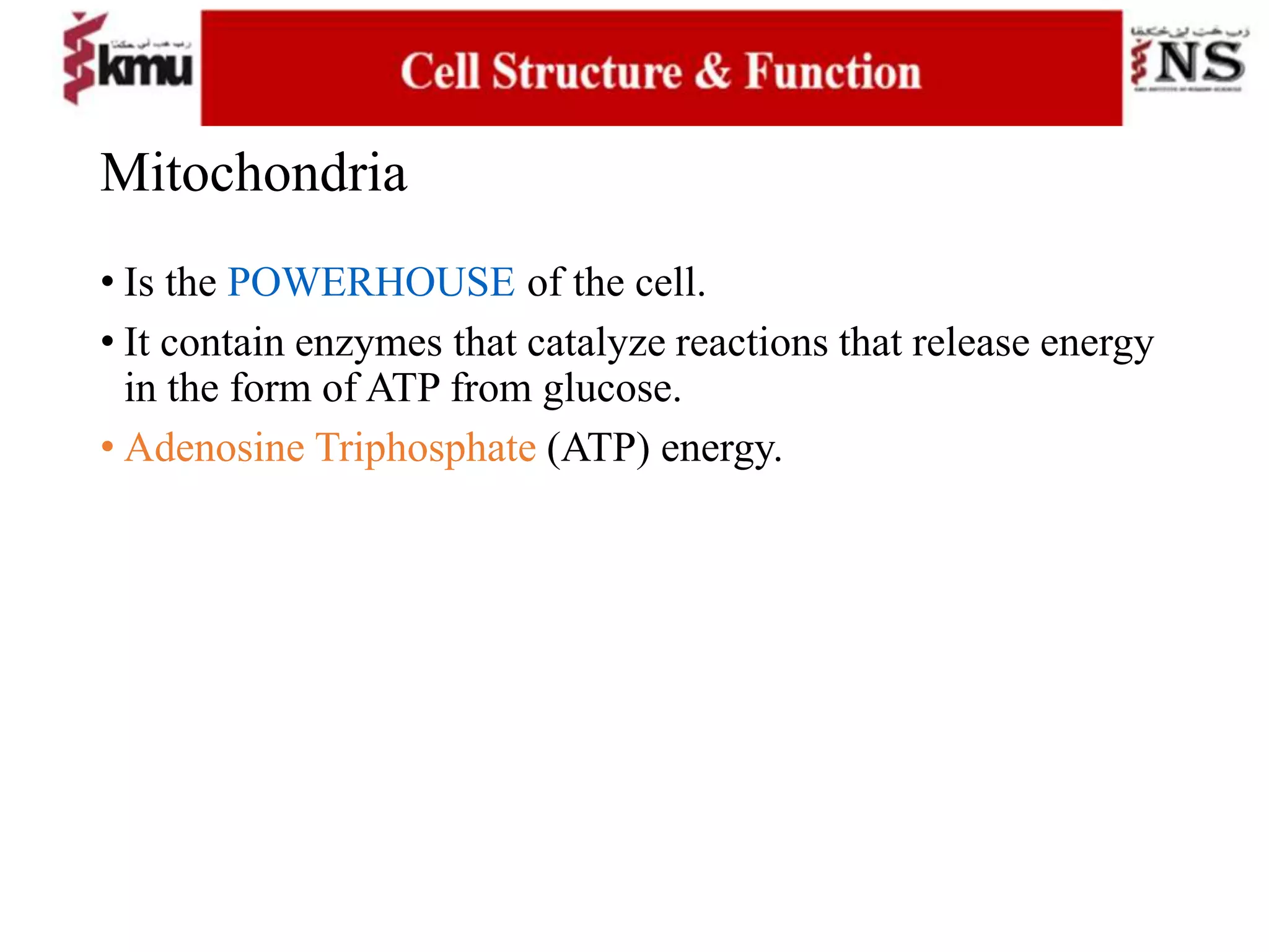 Lecture 3 Cell_structure_function.ppt
