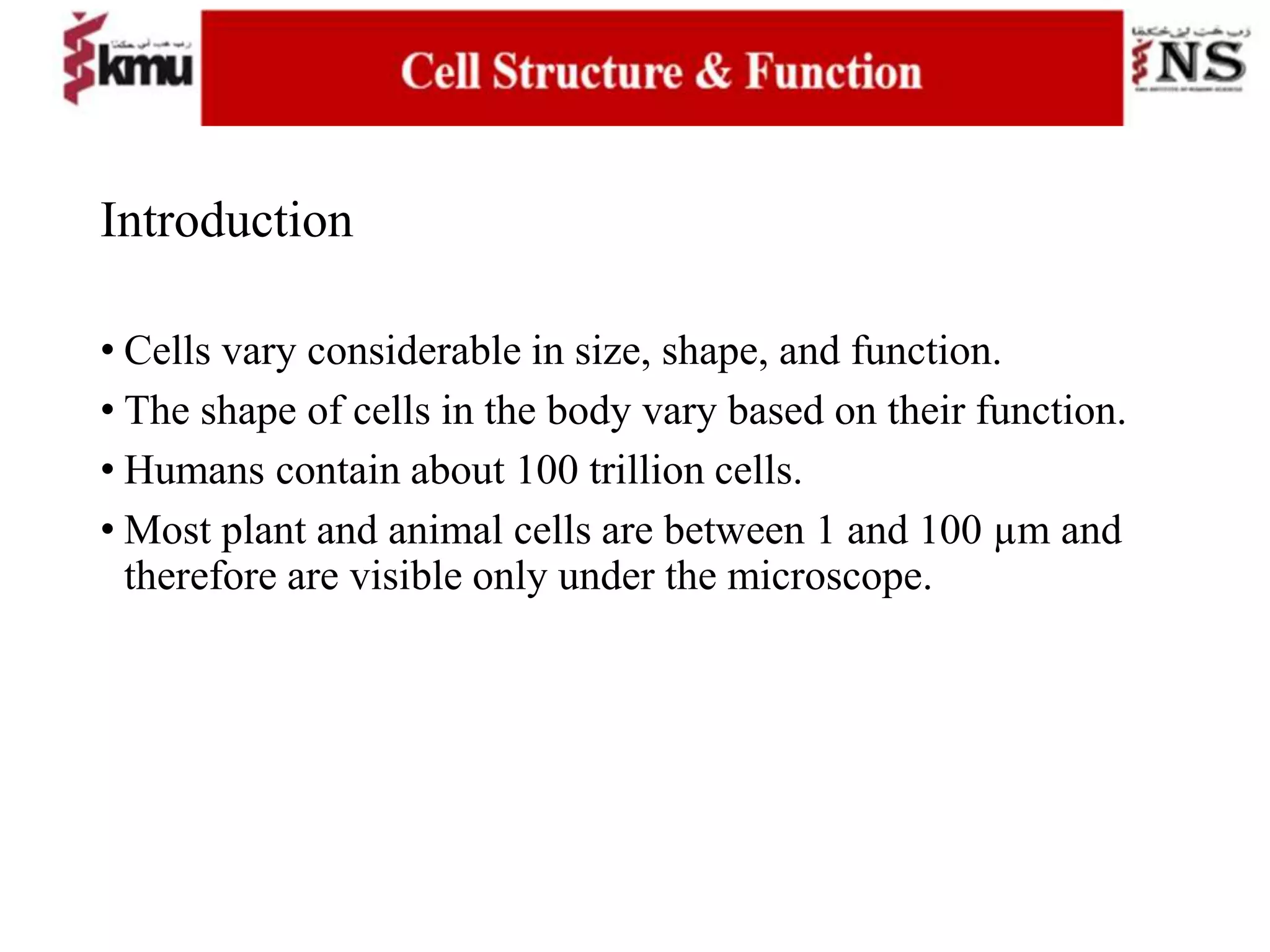 Lecture 3 Cell_structure_function.ppt