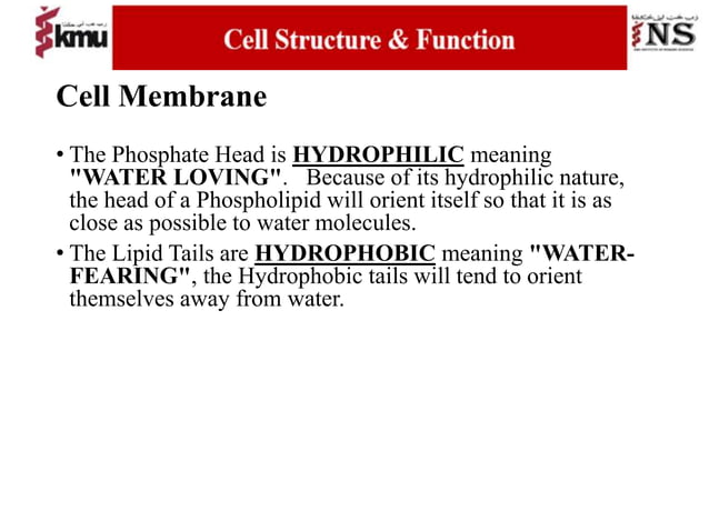 Lecture 3 Cell_structure_function.ppt