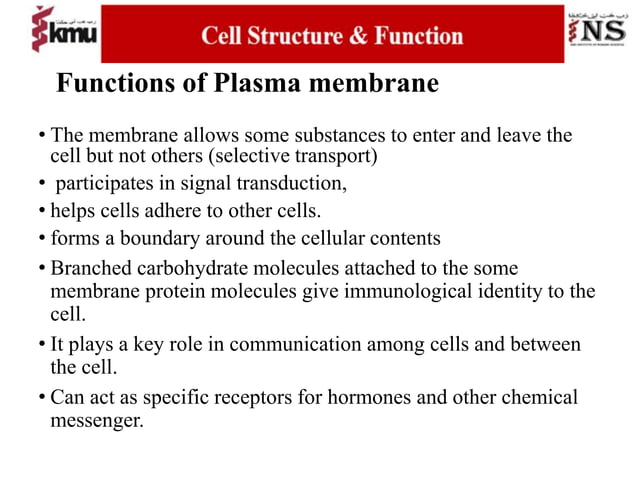 Lecture 3 Cell_structure_function.ppt