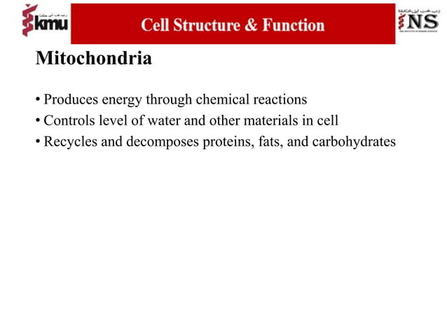 Lecture 3 Cell_structure_function.ppt
