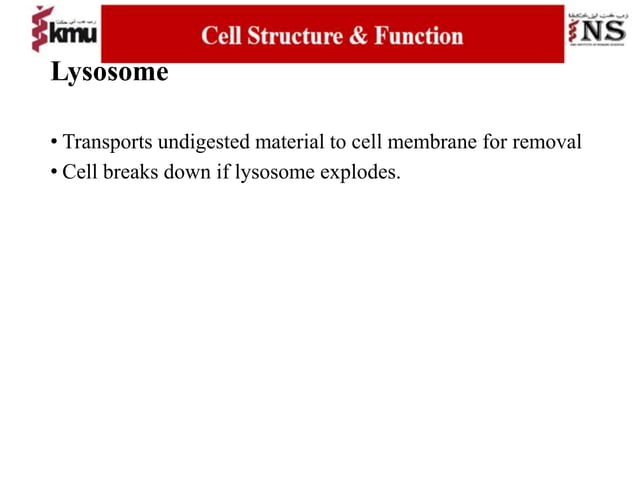 Lecture 3 Cell_structure_function.ppt