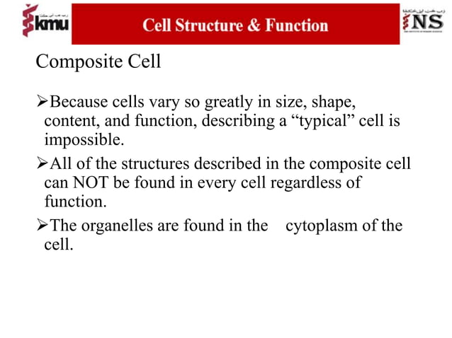 Lecture 3 Cell_structure_function.ppt