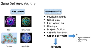 Chitosan in drugs and gene delivery .pdf