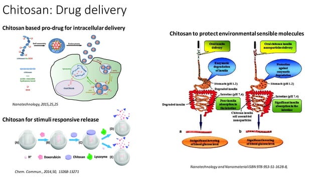 Chitosan in drugs and gene delivery .pdf