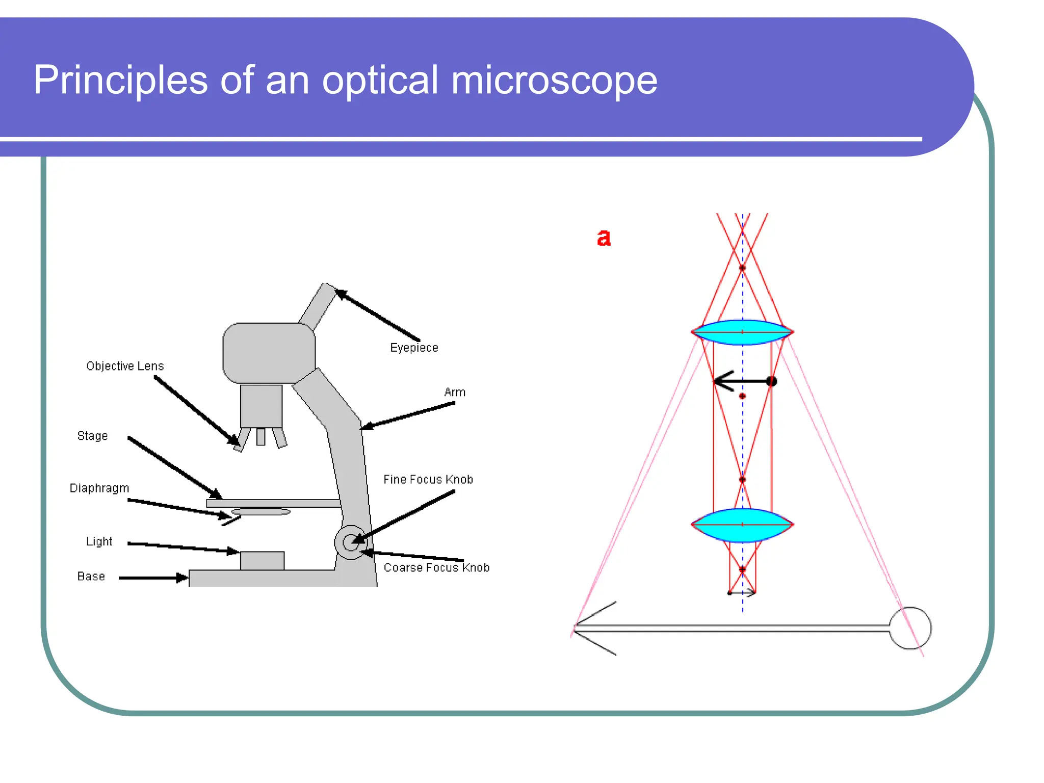 Lecture_3_conventional-Microscope.pdf | Geology | Science