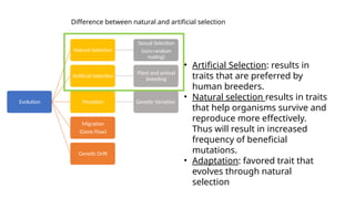 Evolution and variation: natural selection | PPTX