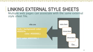 Lecture 3CSS part 1.pptx