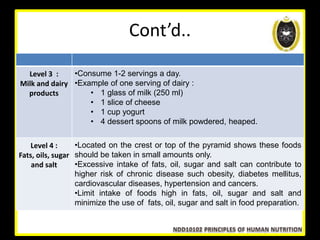 Lecture 3 Dietary requirements and guidelines | PPTX