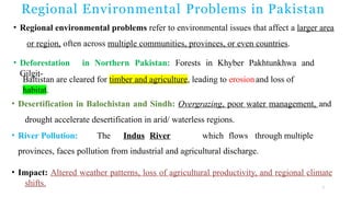 Environmental Problems (Local, Regional, and Global Levels) | PPTX