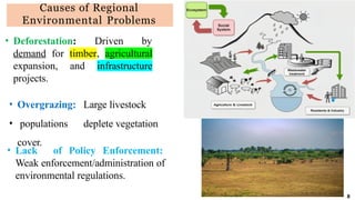 Environmental Problems (Local, Regional, and Global Levels) | PPTX