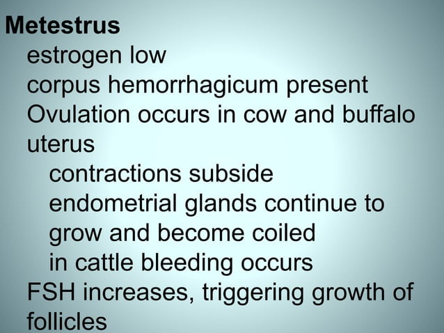 Lecture 3 estrous cycle and estrus signs in domestic animals | PDF ...