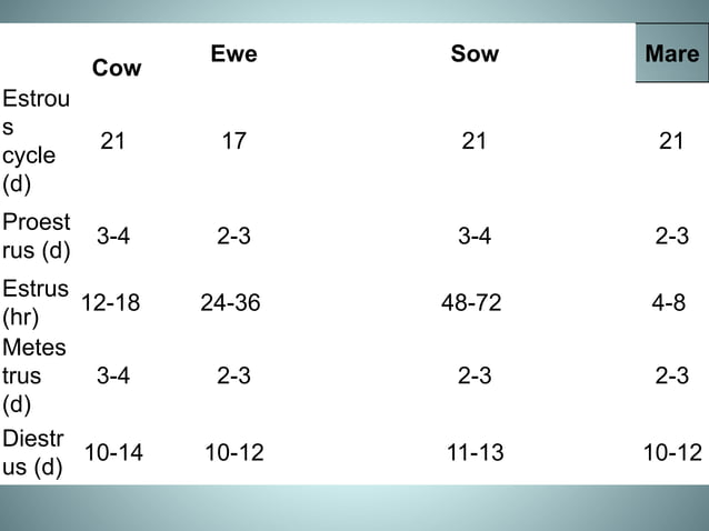 Lecture 3 estrous cycle and estrus signs in domestic animals | PDF ...