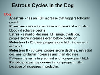 Lecture 3 estrous cycle and estrus signs in domestic animals | PDF
