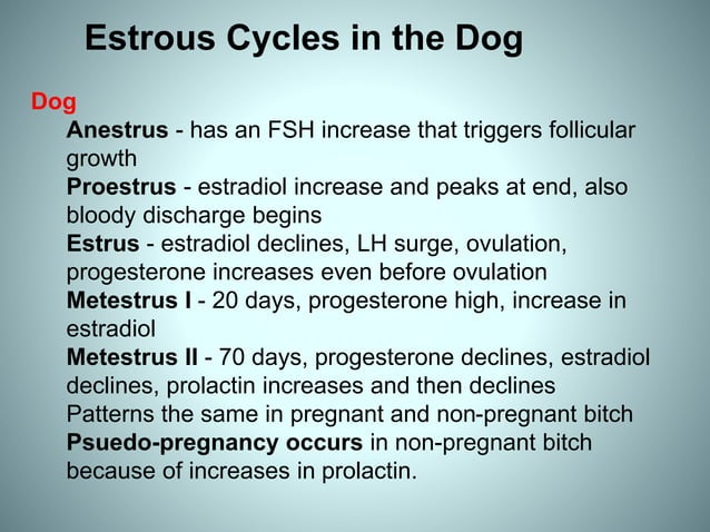 Lecture 3 estrous cycle and estrus signs in domestic animals | PDF ...