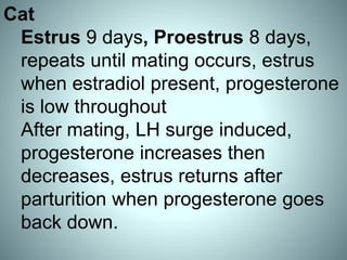 Lecture 3 estrous cycle and estrus signs in domestic animals | PDF