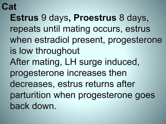 Lecture 3 estrous cycle and estrus signs in domestic animals | PDF ...