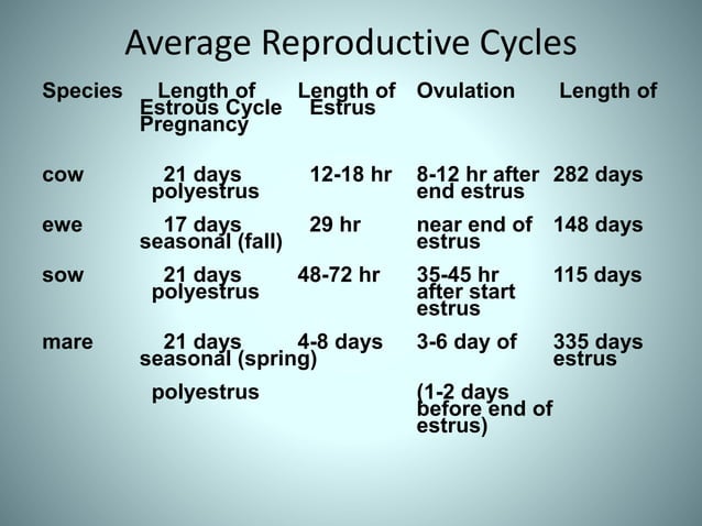 Lecture 3 estrous cycle and estrus signs in domestic animals | PDF ...