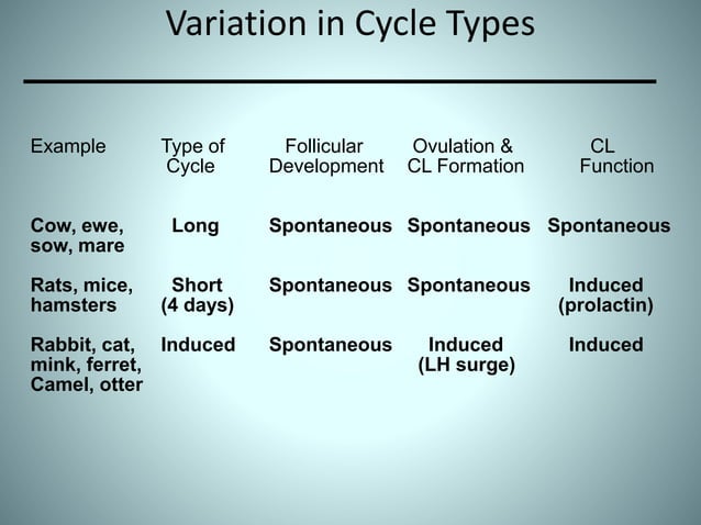 Lecture 3 estrous cycle and estrus signs in domestic animals | PDF ...