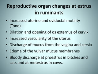 Lecture 3 estrous cycle and estrus signs in domestic animals | PDF