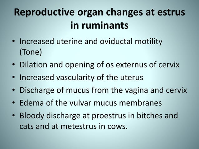 Lecture 3 estrous cycle and estrus signs in domestic animals | PDF ...
