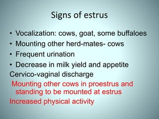 Lecture 3 estrous cycle and estrus signs in domestic animals | PDF