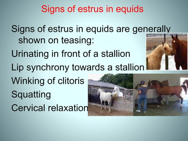 Lecture 3 estrous cycle and estrus signs in domestic animals | PDF ...