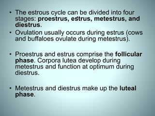 Lecture 3 estrous cycle and estrus signs in domestic animals | PDF