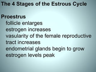 Lecture 3 estrous cycle and estrus signs in domestic animals | PDF