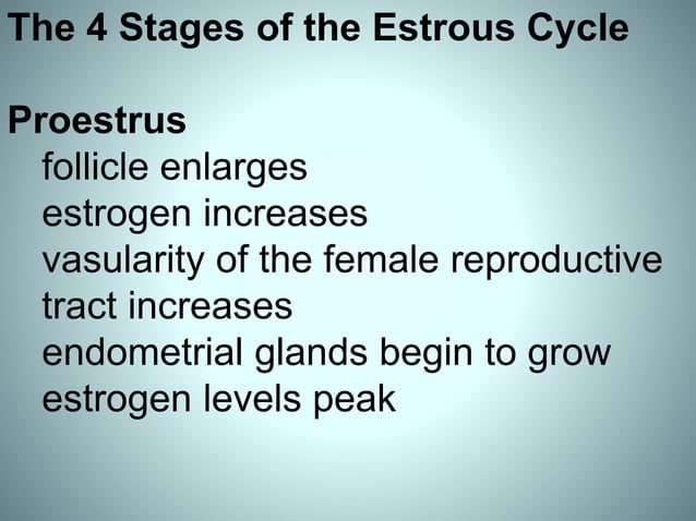 Lecture 3 estrous cycle and estrus signs in domestic animals | PDF ...