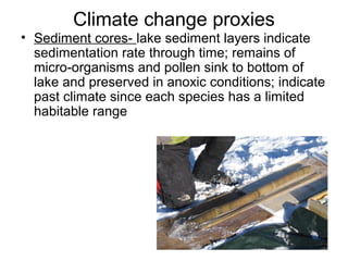 Lecture3 evidence | PPT