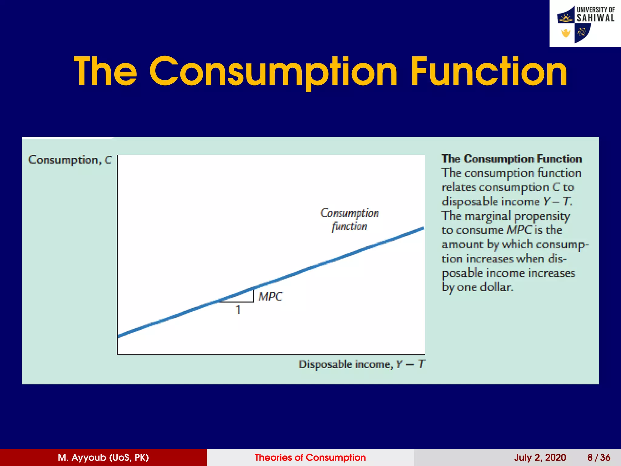 Theories of Consumption_Extended Version | PDF