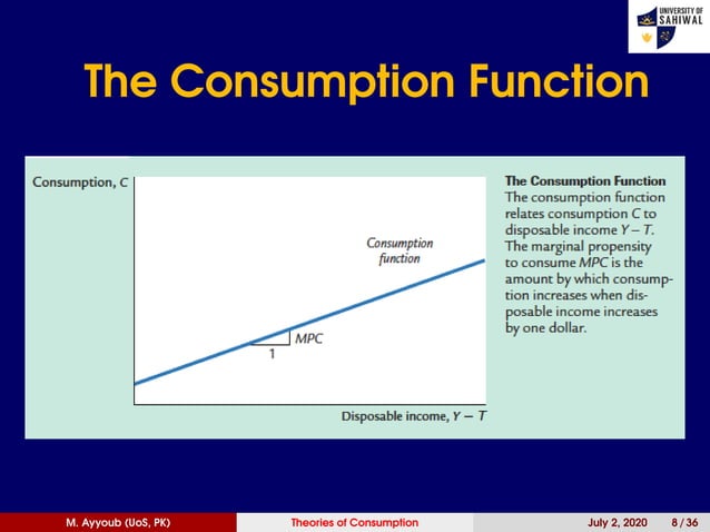 Theories of Consumption_Extended Version | PDF | Economy | Business and ...