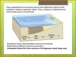 Facies Concept | PPTX