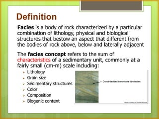 Facies Concept | PPT